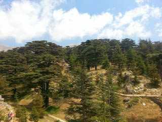 EDUCEIN. Paisajes de Fenicia