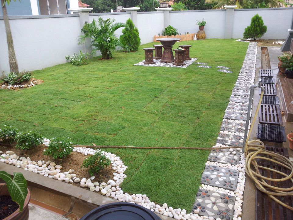 jenis jenis rumput taman landscape Oktober Tahun 2023 ~ JUAL RUMPUT ...