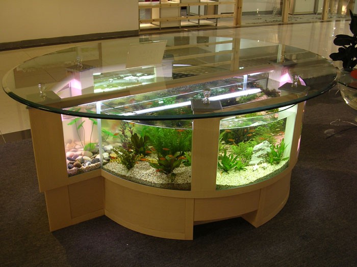 Aqua Fanatic: Unique aquariums for home decoration