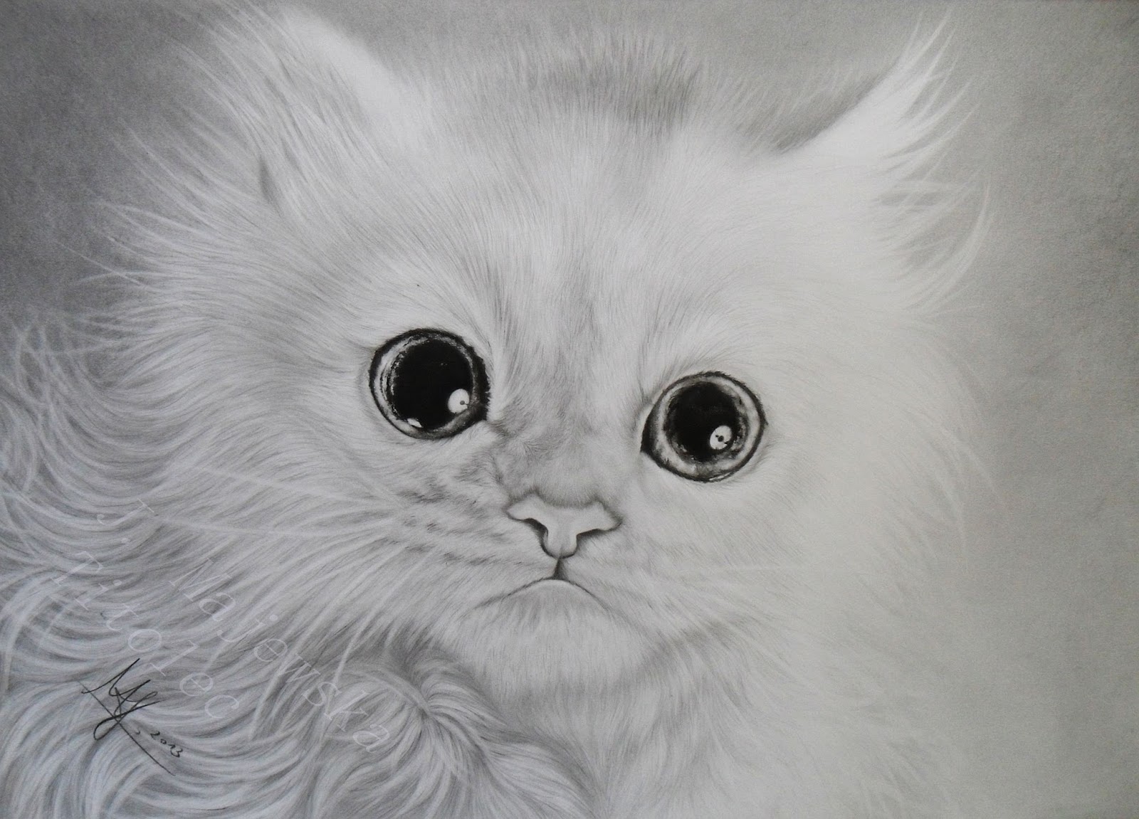 Rysunek by Titolec: Biały kot, duże oczy...