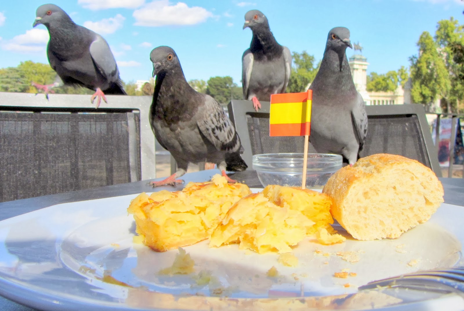 VENTANAS AL PENSAMIENTO: PALOMAS Y TORTILLA, muy españolas.