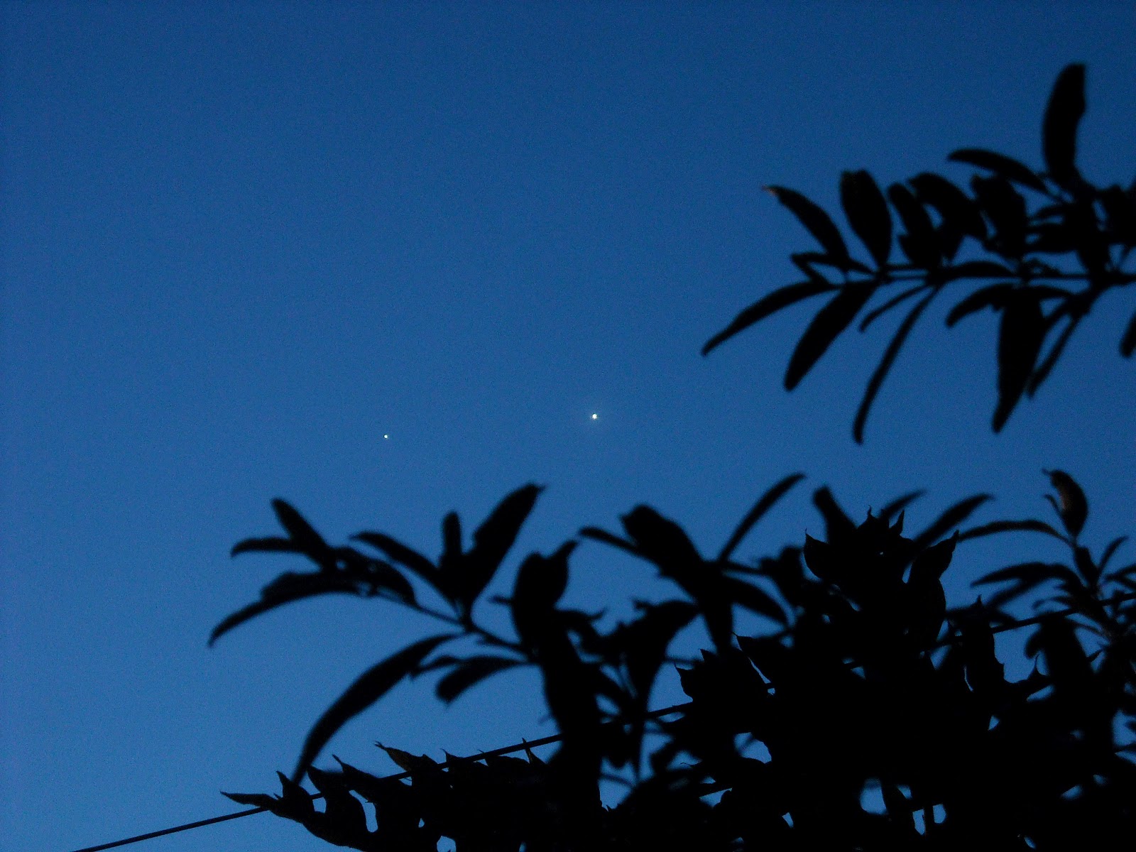 Little Hubble: [Foto] Ijtimak Musytari dan Zuhrah