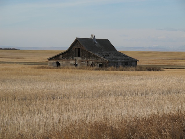 Little Mid Century Modern House on the Prairie: The Prairie Barn