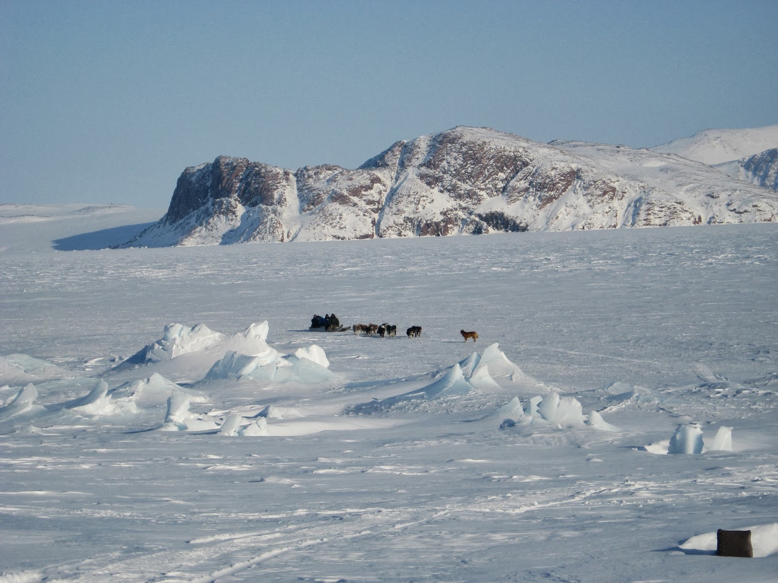 Chantecler... Apprendre dans la joie: Sur la banquise