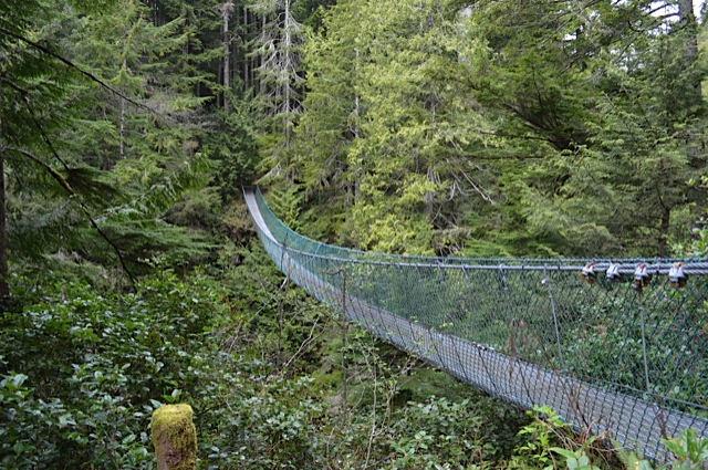 West Coast Trail Study: May 2013