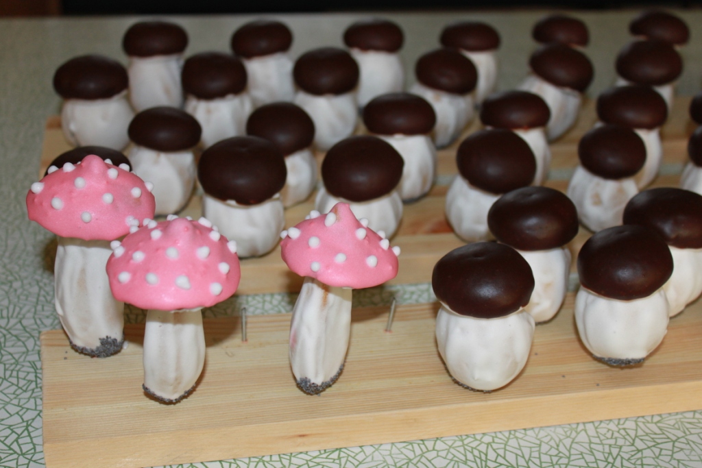 Visko po trupinėlį: Meduoliniai ežiukai ir grybukai