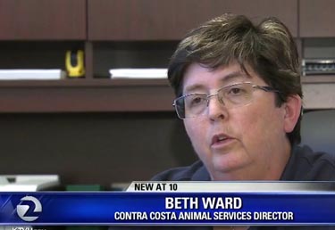 Four legged friends (and enemies): California: Beth Ward and Contra ...