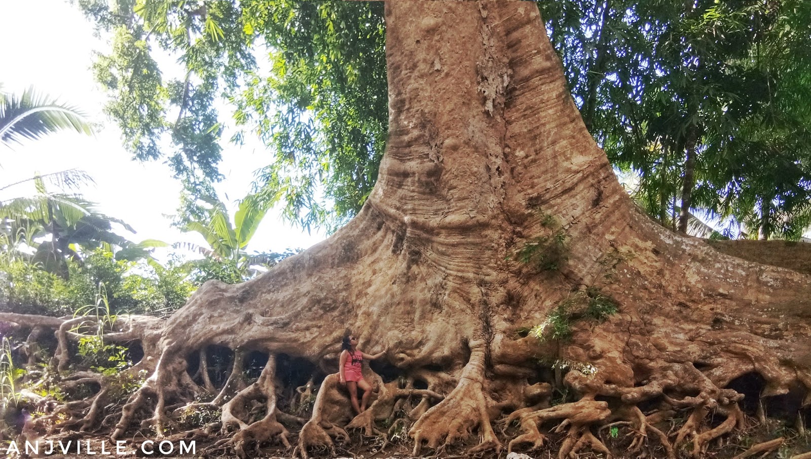 "I felt so little with this giant tree..."