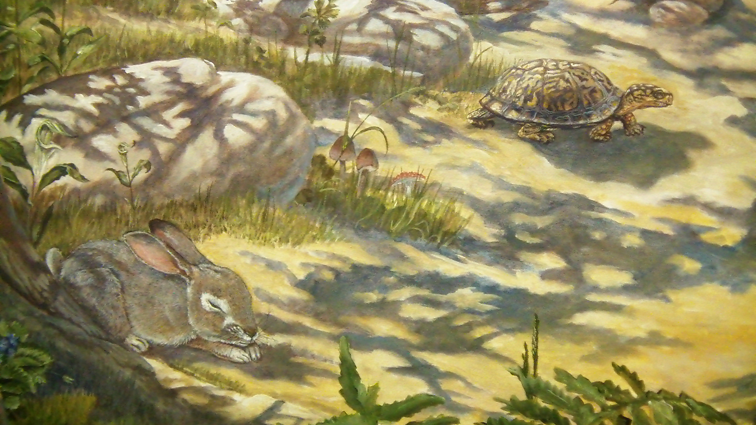 The Fabled Forest : Fabled Forest Inhabitants