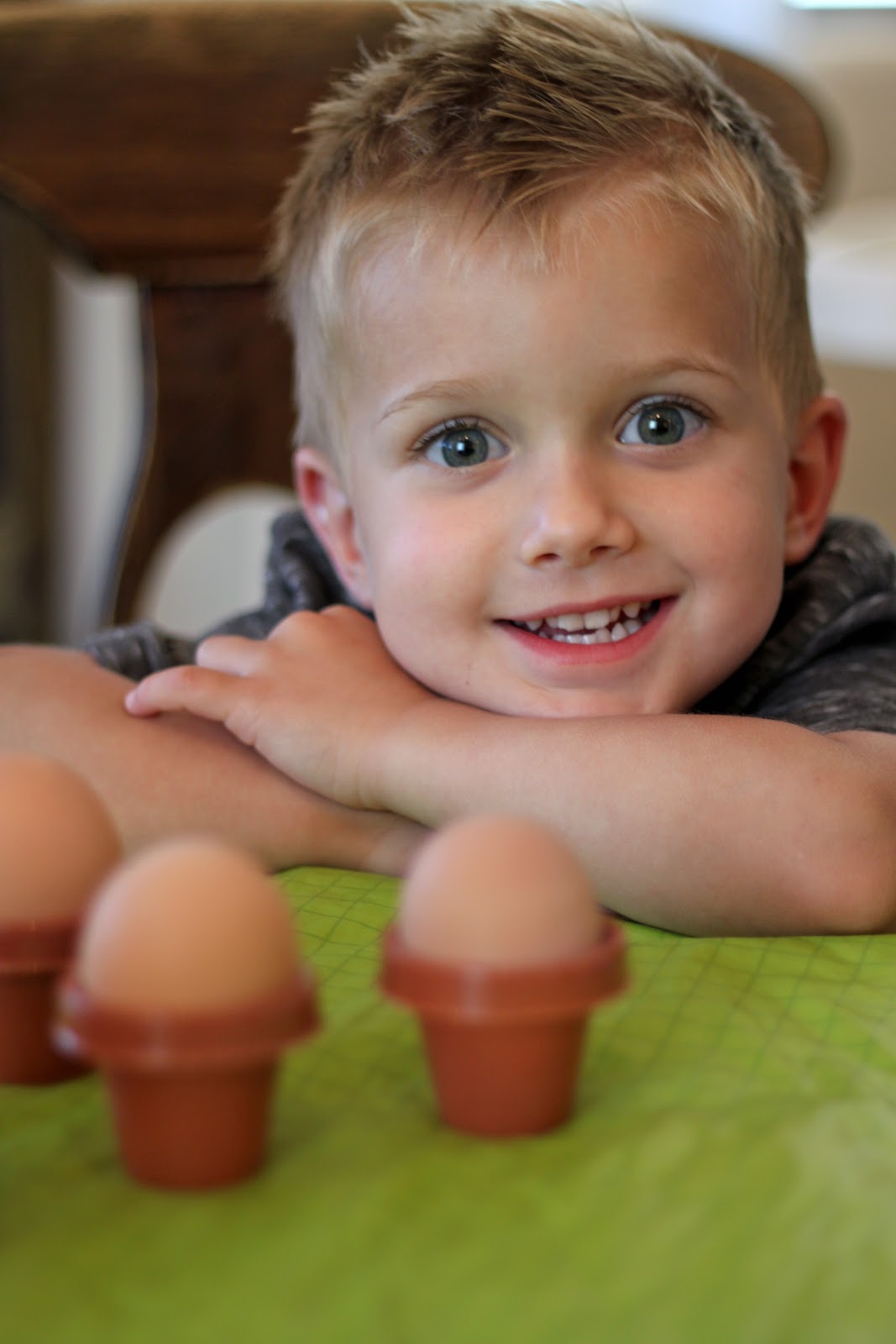Domestic Charm Coloring Easter Eggs domestic-charm-coloring-easter-eggs