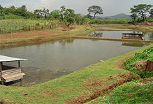 Beautiful Sceneries of Kenyan Republic: SAGANA FISH FARM IN KIRINYAGA ...