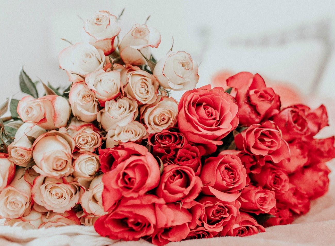 happy valentine's day | stesha rose.