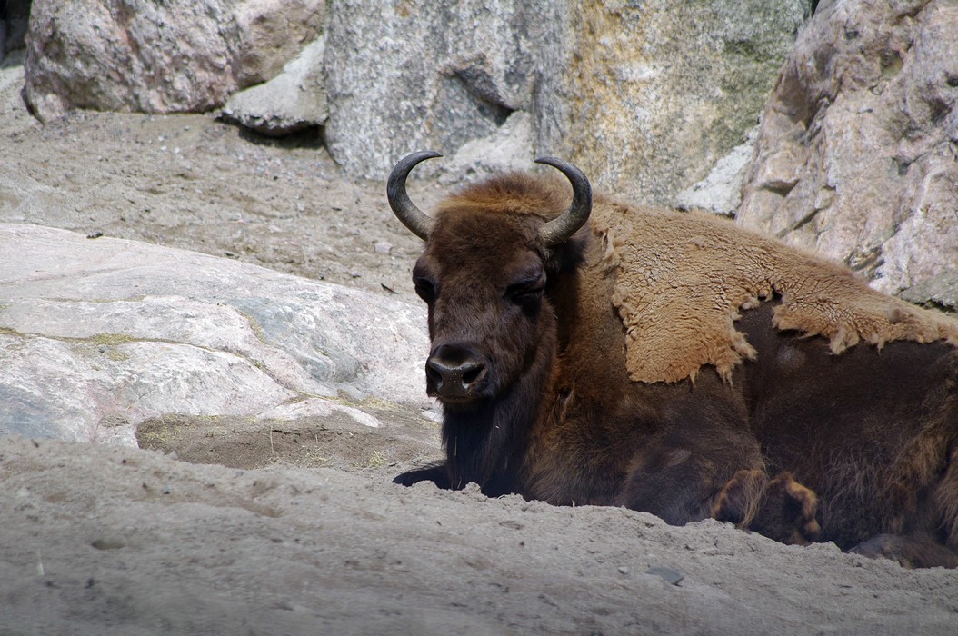 J seikkailee ja valokuvaa: Korkeasaari