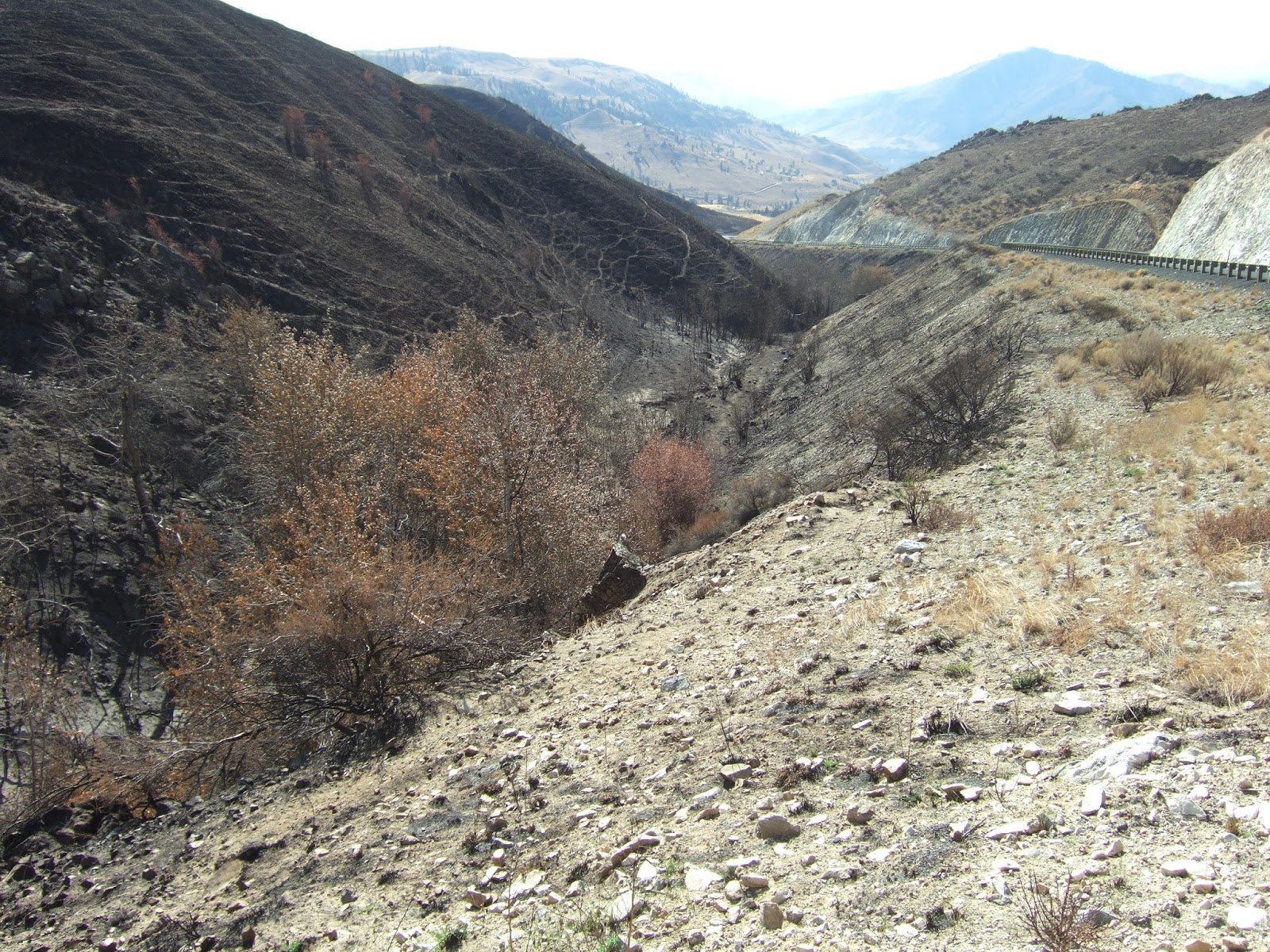 Reading the Washington Landscape: Fire Notes on West Edge of Waterville ...