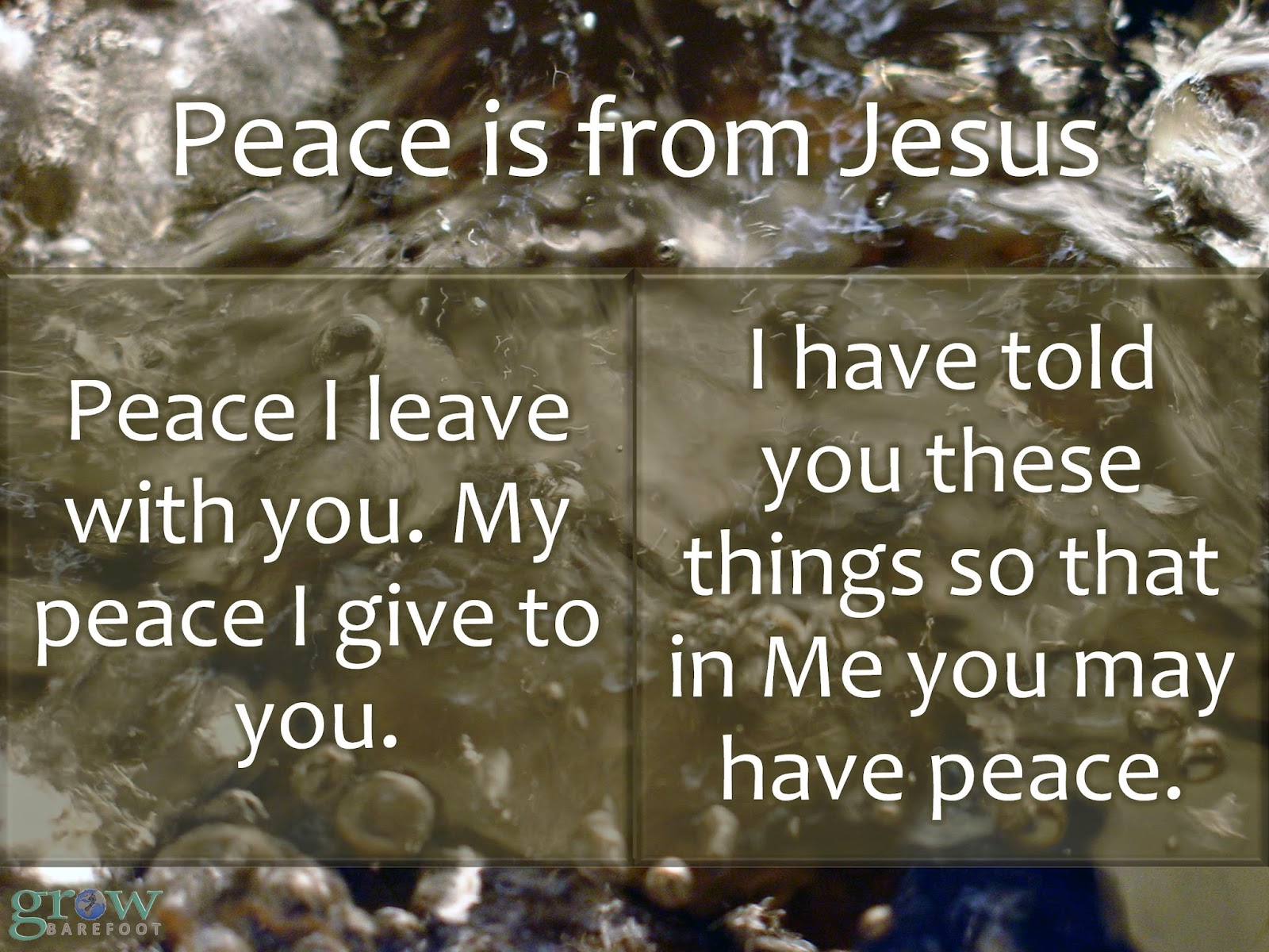 Grow Barefoot: Jesus' Last Word on Peace