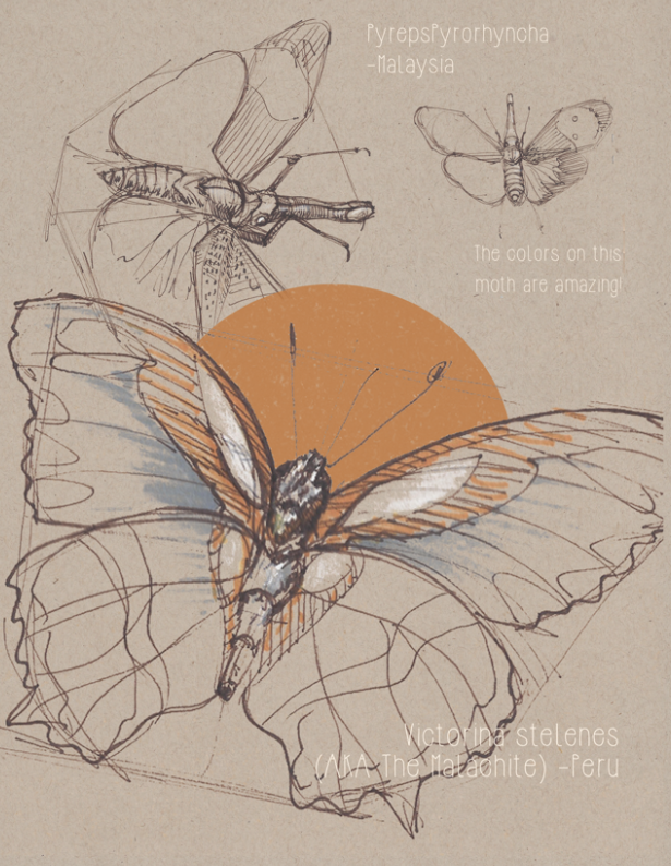 Warrior Spirit, Artist Heart: Dynamic Sketching with Peter Han