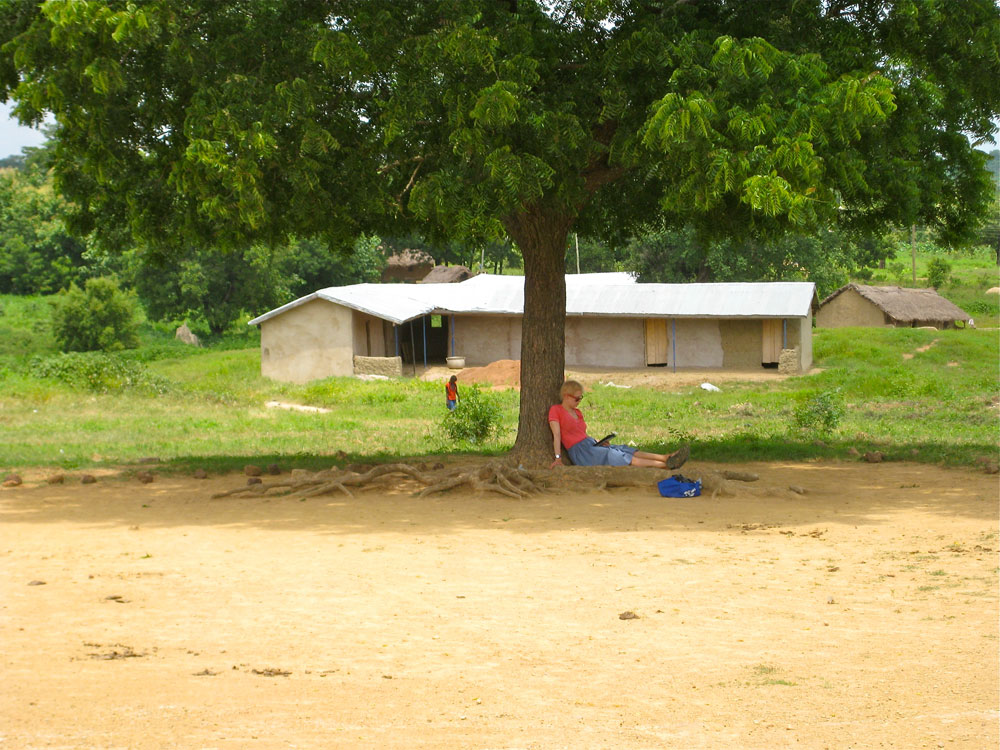 Peripatetic Journal: More images from Damanko, Wli Waterfall, etc.