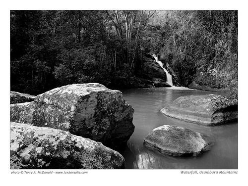 2017 ~ LUSHOTO'S HERITAGE