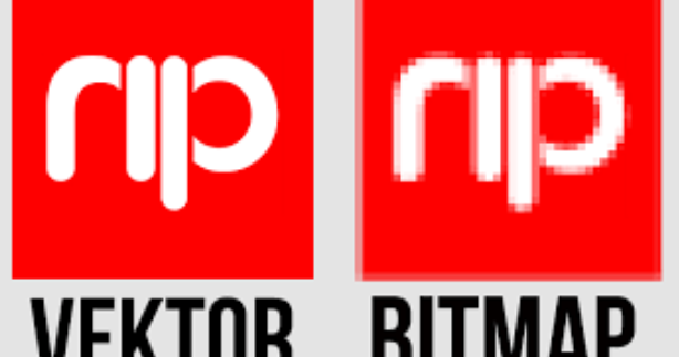 Apa saja perbedaan bitmap dan vektor?