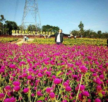 30 TEMPAT WISATA DI MERANGIN BANGKO JAMBI TERBARU YANG POPULER - Bospedia