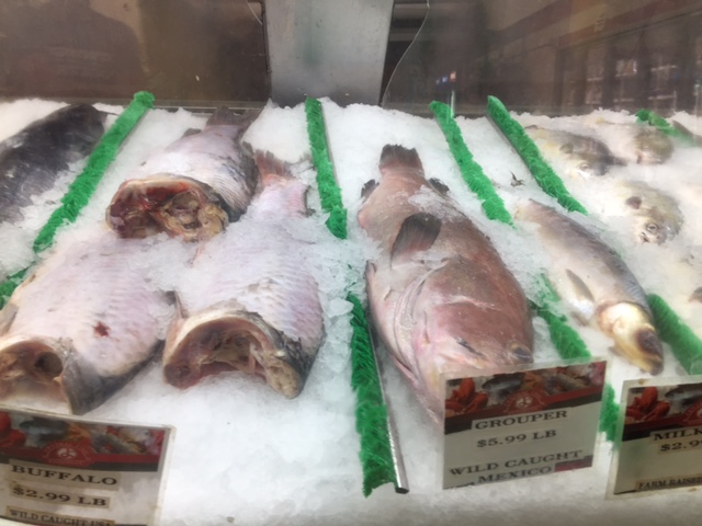 FresFood: Markets with a Restaurant Inside - Japanese - Central Fish ...