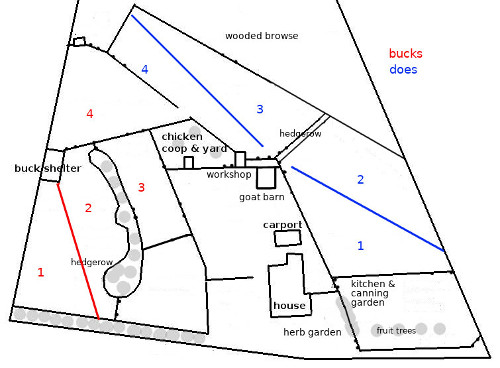 5 Acres & A Dream: Developing a Pasture Rotation Plan: Part 2