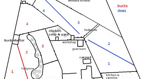 5 Acres & A Dream: Developing a Pasture Rotation Plan: Part 2