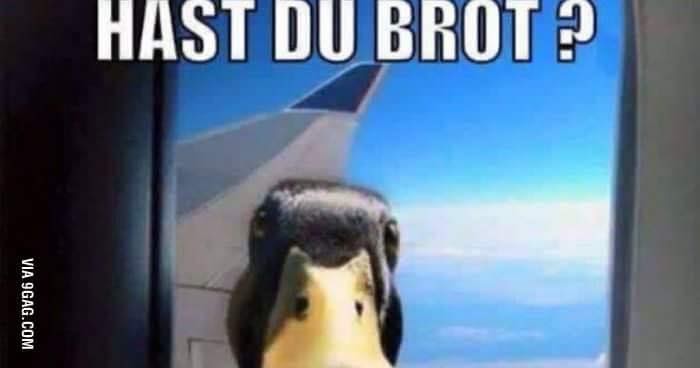 Die Besten Internet Memes !!! (Deutsch): Hast du Brot?