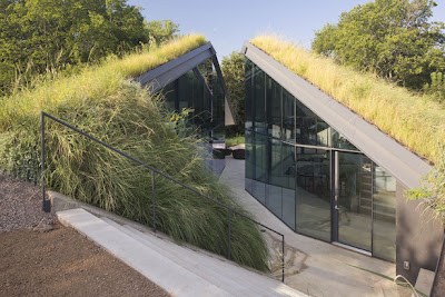 ARTOPIATECTURE: Texas Green-Roof House