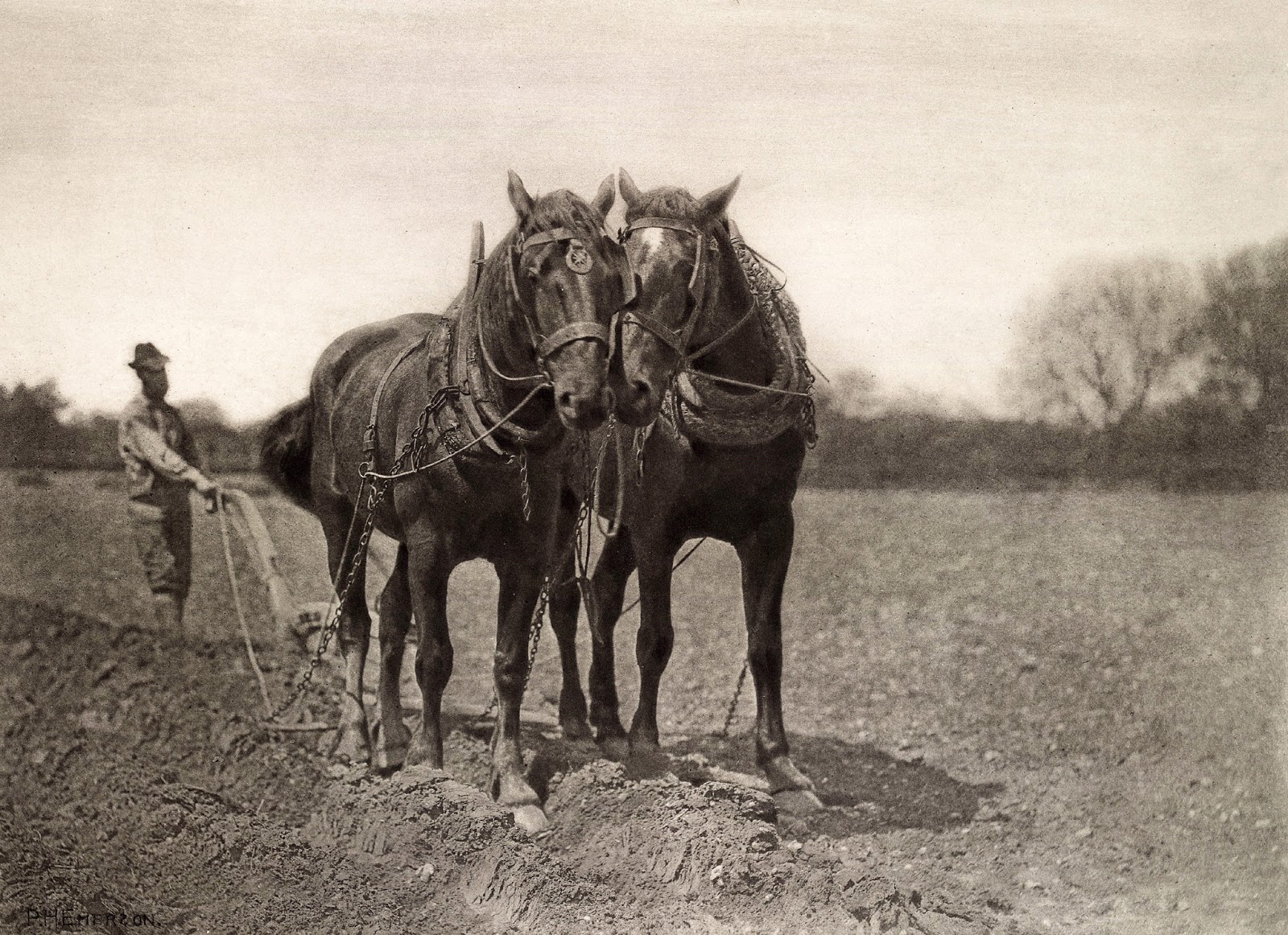 History in Photos: Peter Henry Emerson