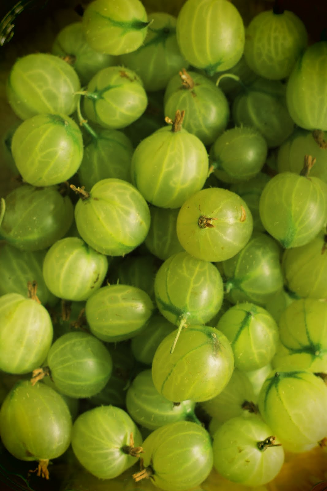 All The Live Long Day: Three Kinds Of Jam