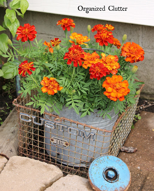Four Minnesota Rustic JUNK GARDEN Tours - Organized Clutter