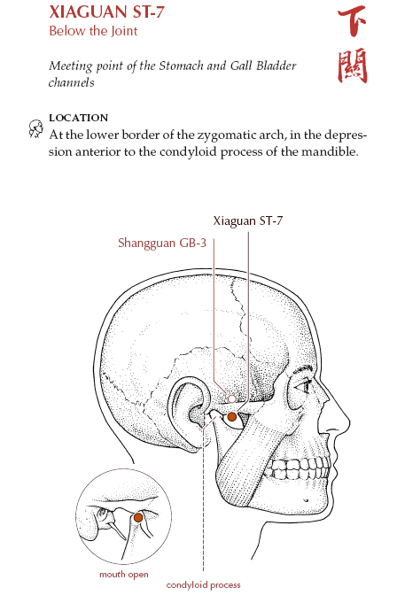 Acupuncture Masters: Acupuncture Points Database - Stomach channel