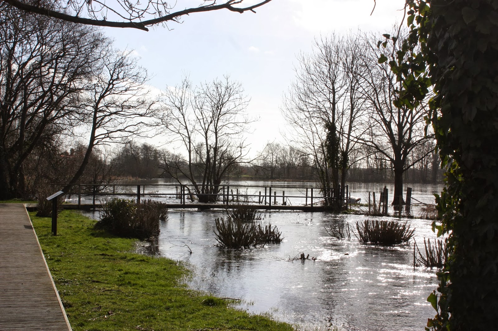 Where Beechmast Falls: Ringwood`s River - the Avon in Flood