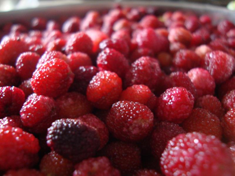 Uttarakhand DevBhoomi