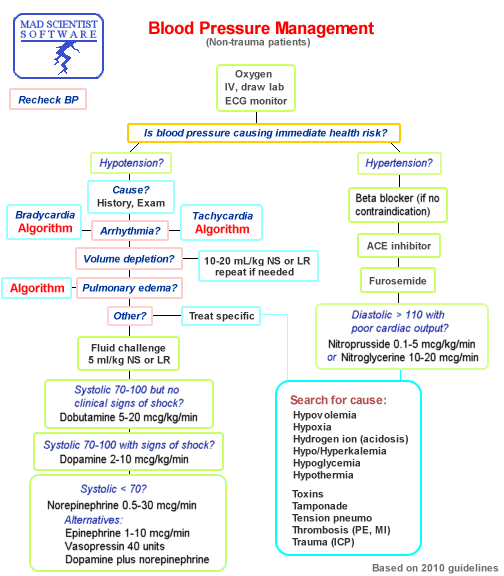 TENTANG JANTUNG: BLOOD PRESSURE MANAGEMENT / PENATALAKSANAAN PERUBAHAN ...