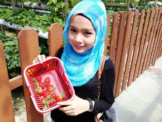 Hidup Sentiasa Berputar: Aku Suka Perempuan Ada Gigi Rabbit