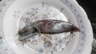 KADAMBA / KANAVA MASALA /SQUID FISH CURRY