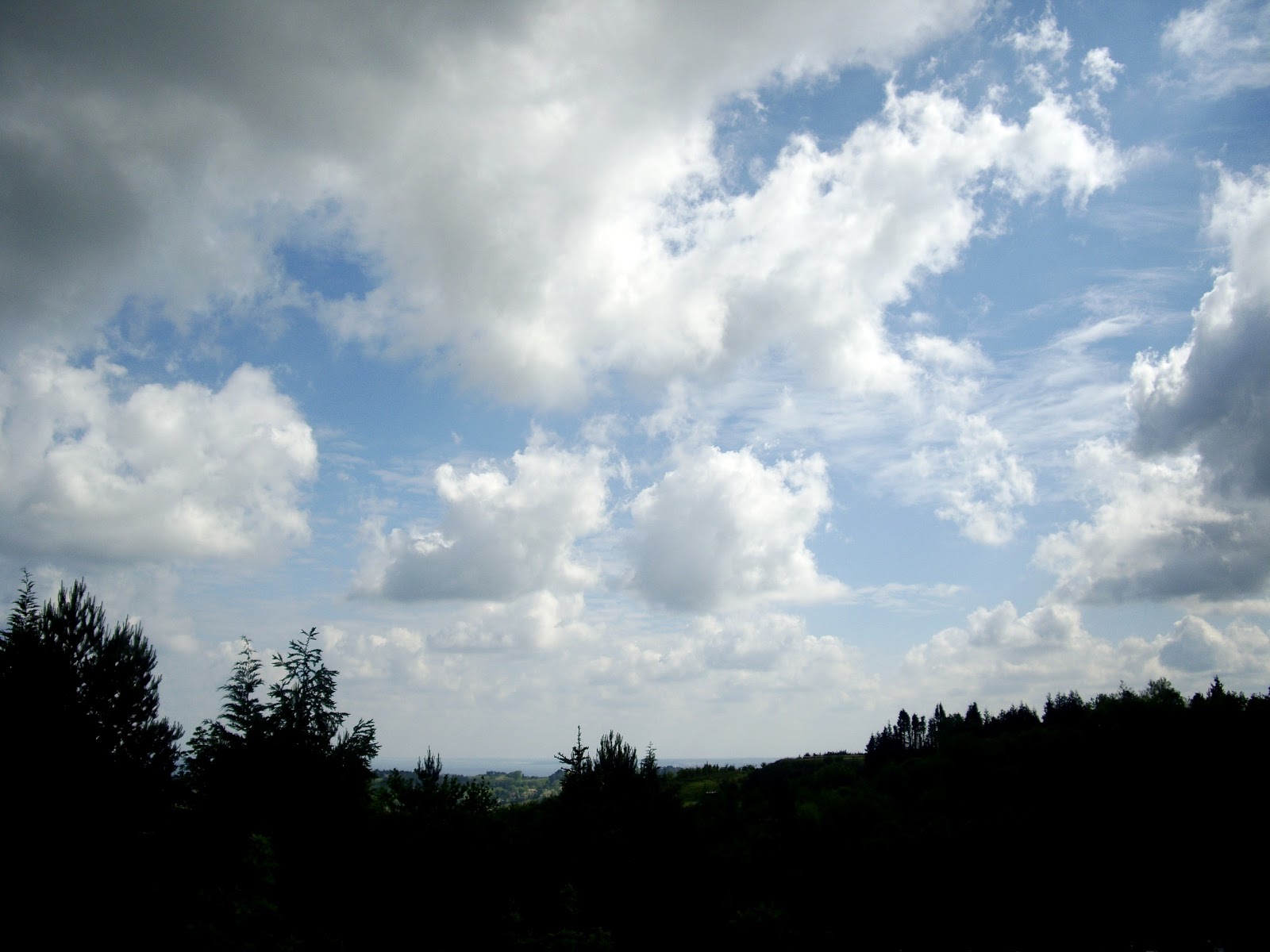 Axul-axula y de cuando en ves, un flor...