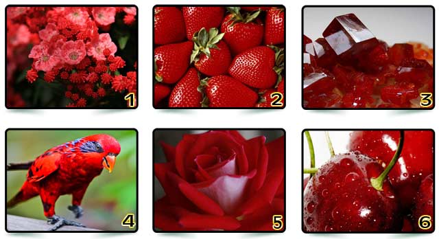 Somos Pura Energía ♡: ¿Cuál es Tu Color Rojo Favorito?.