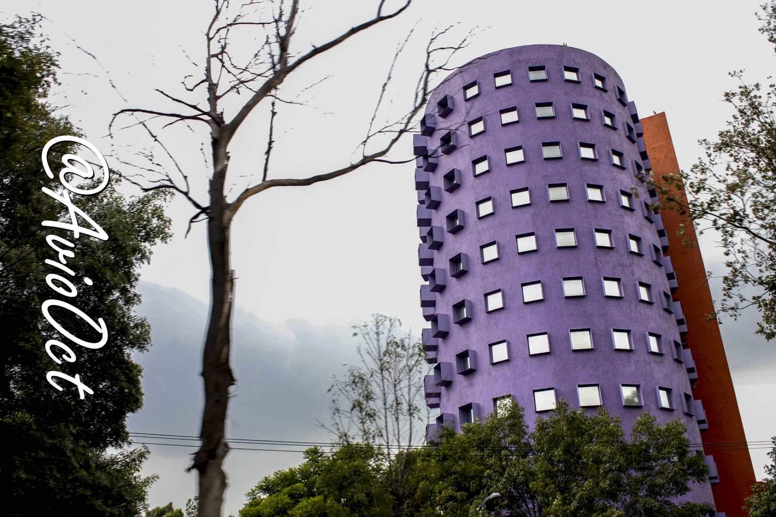 Galeria de fotos: CENART