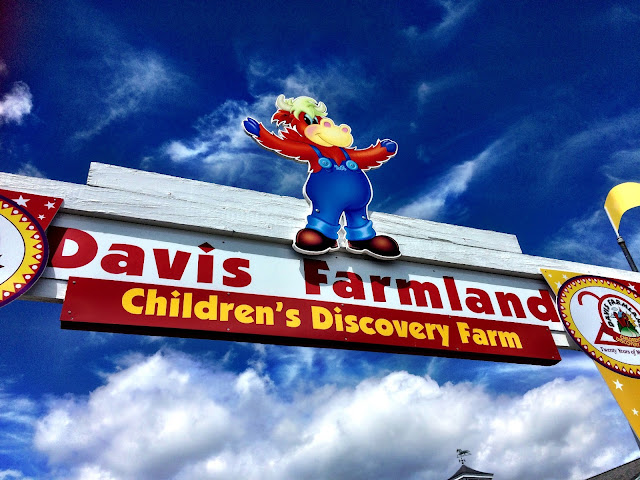 Evan and Lauren's Cool Blog: 8/16/16: Davis Farmland Farm and Water Fun