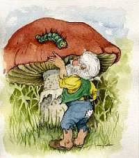 Soloillustratori: Jean Gilder