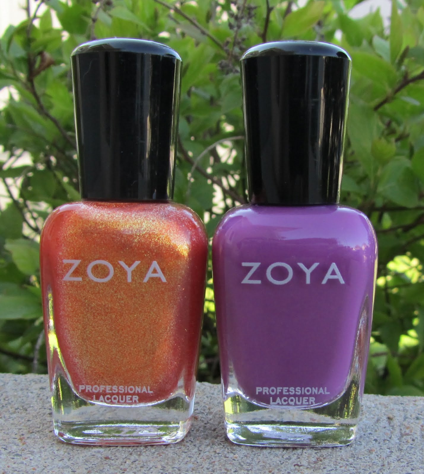 Zoya Breezi Vs Robyn