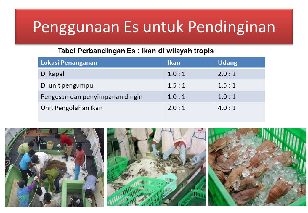 Menerapkan Teknologi Pengolahan Produk Perikanan Berbasis Energi ...