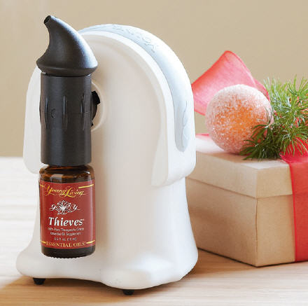 Ancient Essentials: Why essential oil diffusers should be a staple in ...