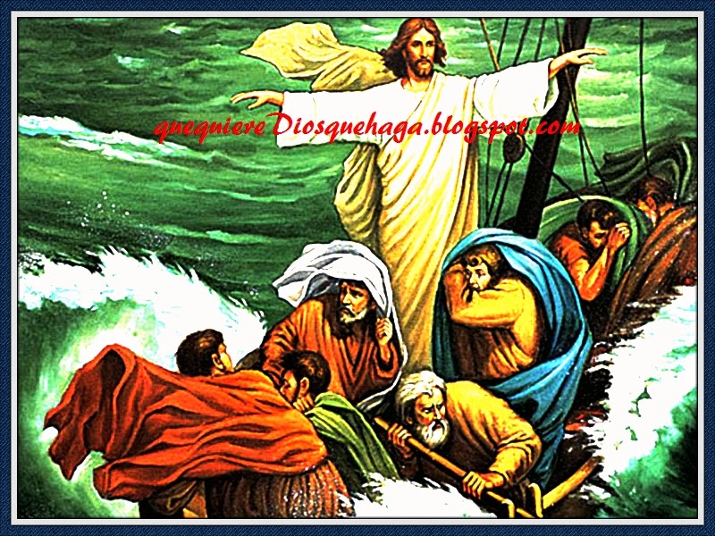 LOS MILAGROS DE JESÚS : Que quiere Dios que haga