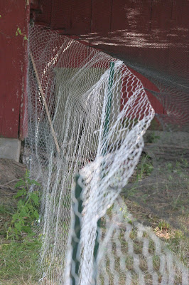 A Fly on Our (Chicken Coop) Wall: A Redneck, Fake Farmer's Guide to ...