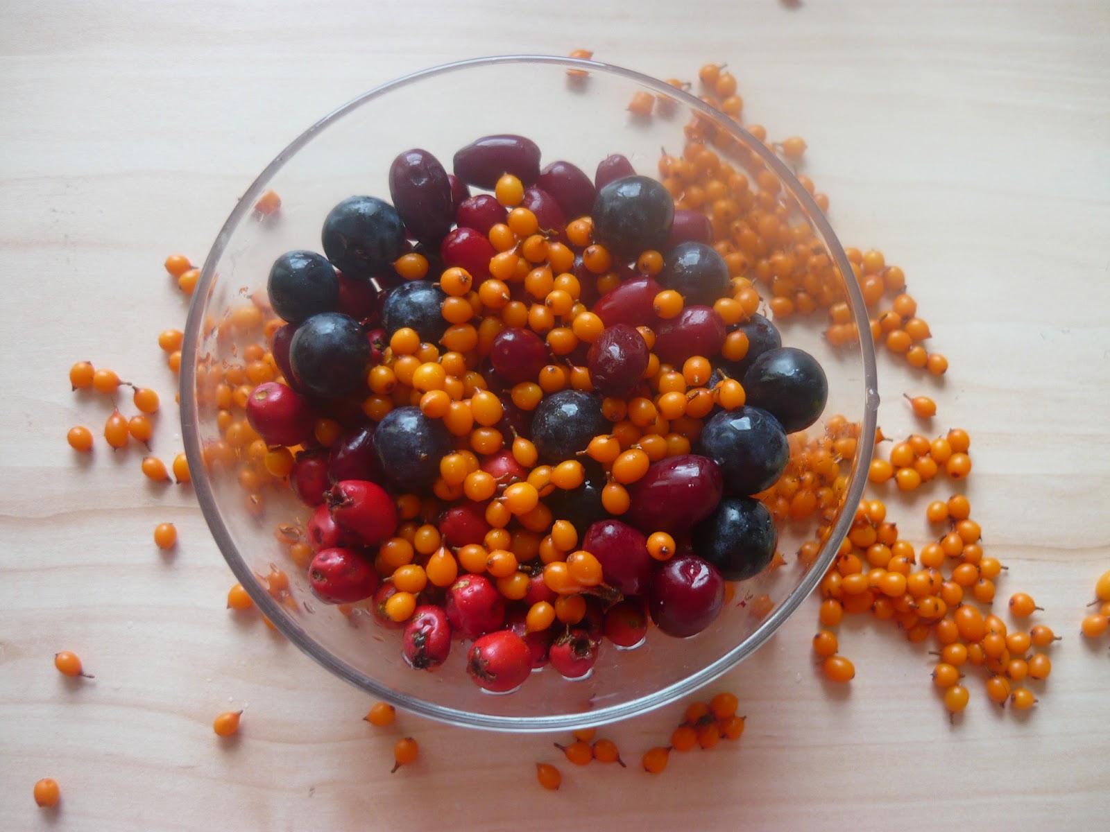 Amy: Fructele toamnei