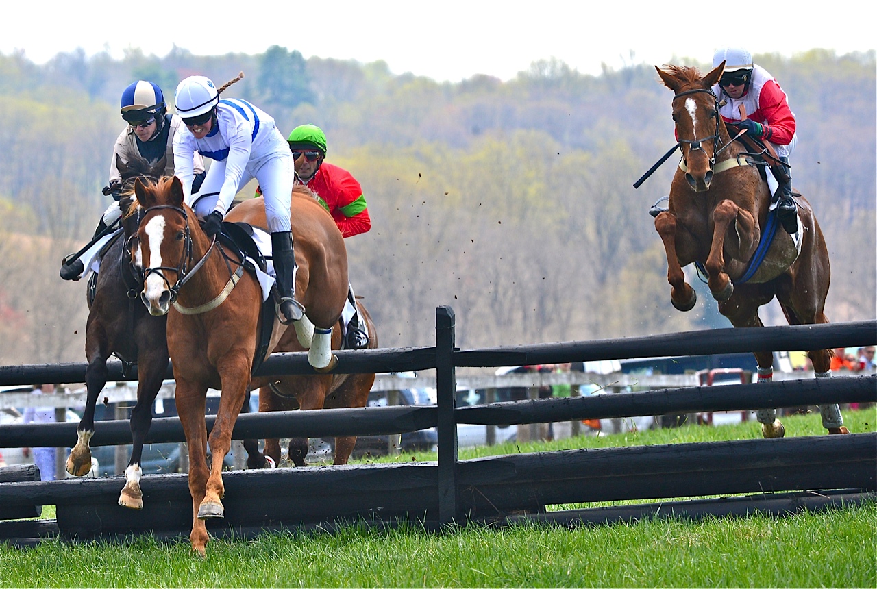 Virginia Blog Cup: MY LADY'S MANOR TIMBER RACE